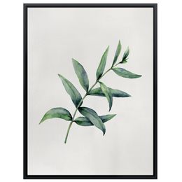 Bilderwelten Leinwandbild Aquarell Eucalyptus I