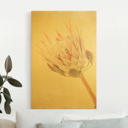 Bilderwelten Leinwandbild Protea K&ouml;nigin der Bl&uuml;ten