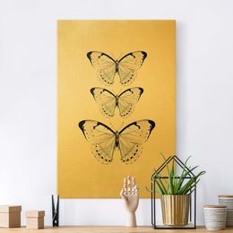 Bilderwelten Leinwandbild Schmetterling auf Beige