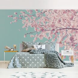 Bilderwelten Fototapete Blumen Landhaus Wandtapete rosa - Japanische Kirschbl&uuml;te - Kirschbl&uuml;te Wohnzimmer Schlafzimmer