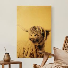 Bilderwelten Leinwandbild Hochlandrind Frida in Beige