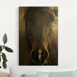 Bilderwelten Leinwandbild Dunkles Pferd