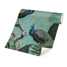 Fototapete Shabby Chic Collage - Edler Pfau
