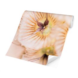 Bilderwelten Fototapete Textiltapete Stofftapete - nahtlose Tapete | Japanische Kirschbl&uuml;te