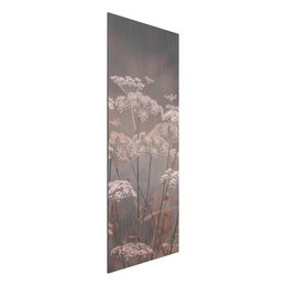 Bilderwelten Alu Dibond Outdoor Bild Blumen rosa Motiv wetterfest - Wilde Doldenbl&uuml;ten - Deko Wohnzimmer Schlafzimmer