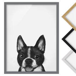 Bilderwelten Bild mit Rahmen - Hochformat Illustration Hund Boston Schwarz Wei&szlig; Malerei