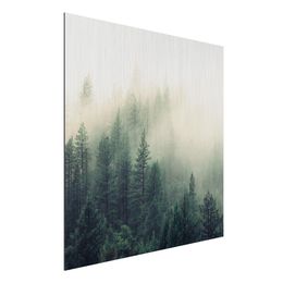 Alu Dibond Outdoor Bild - Wald im Nebel Erwachen - Wald gr&uuml;n Motiv wetterfest B&auml;ume Wohnzimmer Schlafzimmer