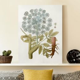 Bilderwelten Leinwandbild originell Vintage Kunstdruck beige - Wildkr&auml;uter Schautafel III - Pflanzen XXL Wohnzimmer Schlafzimmer