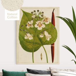 Bilderwelten Leinwandbild - Hochformat Tableau Blatt Bl&uuml;te Frucht V