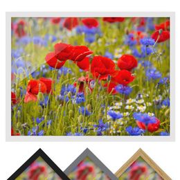Bilderwelten Bild mit Rahmen - Querformat Sommerwiese mit Mohn und Kornblumen