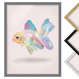 Bilderwelten Bild mit Rahmen - Hochformat Fisch in Pastell