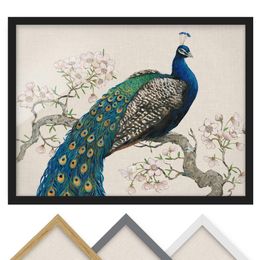 Bilderwelten Bild mit Rahmen - Querformat Vintage Pfau mit Kirschbl&uuml;ten