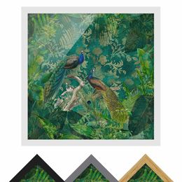 Bilderwelten Bild mit Rahmen - Quadrat Shabby Chic Collage - Edler Pfau II