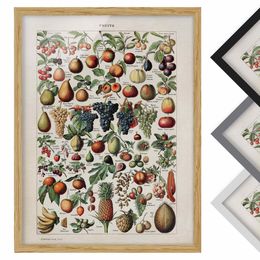 Bilderwelten Bild mit Rahmen - Hochformat Vintage Lehrtafel Fr&uuml;chte
