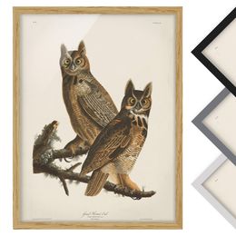 Bilderwelten Bild mit Rahmen - Hochformat Vintage Lehrtafel Zwei gro&szlig;e Uhus