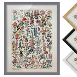 Bilderwelten Bild mit Rahmen - Hochformat Vintage Lehrtafel Blumen V
