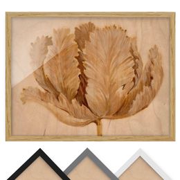 Bilderwelten Bild mit Rahmen - Querformat Sepia Tulpe auf Holz II