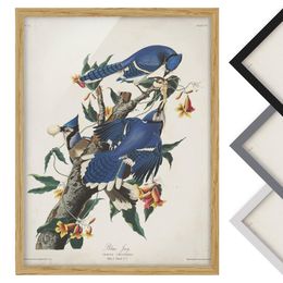 Bilderwelten Bild mit Rahmen - Hochformat Vintage Lehrtafel Blauer H&auml;her