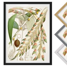 Bilderwelten Bild mit Rahmen - Hochformat Vintage Illustration Tropische Bl&uuml;ten III