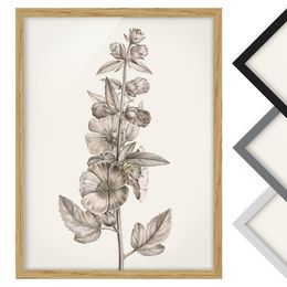 Bilderwelten Bild mit Rahmen - Hochformat Botanische Studie in Sepia II