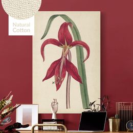 Bilderwelten Leinwandbild - Hochformat Gartensch&ouml;nheit I