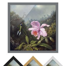 Bilderwelten Bild mit Rahmen - Quadrat Martin Johnson Heade - Stillleben mit Orchidee und zwei Kolibris