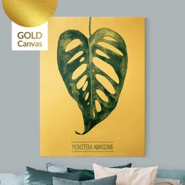 Bilderwelten Leinwandbild - Hochformat Smaragdgr&uuml;ne Monstera Adansonii