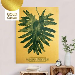 Bilderwelten Leinwandbild - Hochformat Smaragdgr&uuml;ner Philodendron Bipinnatifidum