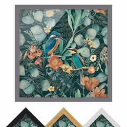 Bilderwelten Bild mit Rahmen Blumenparadies Eisvogel und Kolibri