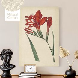 Bilderwelten Leinwandbild - Hochformat Gartensch&ouml;nheit VI
