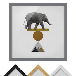 Bilderwelten Bild mit Rahmen Balancekunst Elefant