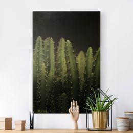 Bilderwelten Leinwandbild W&uuml;stenkaktus bei Nacht
