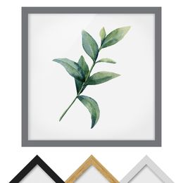 Bilderwelten Bild mit Rahmen Aquarell Eucalyptus II