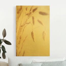 Bilderwelten Leinwandbild Zartes Glanzgras