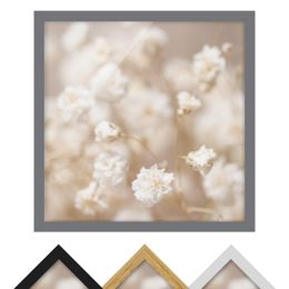 Bilderwelten Bild mit Rahmen Bl&uuml;tentr&auml;ume in Creme
