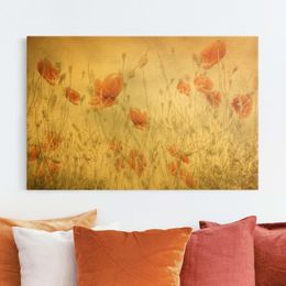 Bilderwelten Leinwandbild Mohnblumen und Gr&auml;ser im Feld