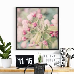 Bilderwelten Bild mit Rahmen Apfelbl&uuml;te Bokeh rosa