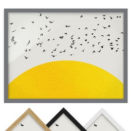Bilderwelten Bild mit Rahmen Vogelschwarm vor gelber Sonne