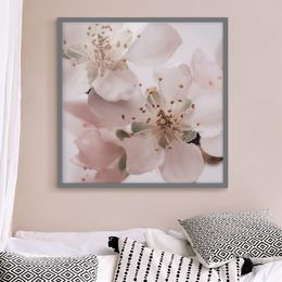 Bilderwelten Bild mit Rahmen Im Herzen der Bl&uuml;te