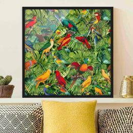 Bilderwelten Bild mit Rahmen Bunte Collage - Papageien im Dschungel