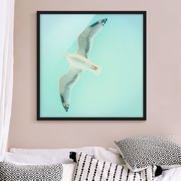 Bilderwelten Bild mit Rahmen Blauer Himmel mit M&ouml;we