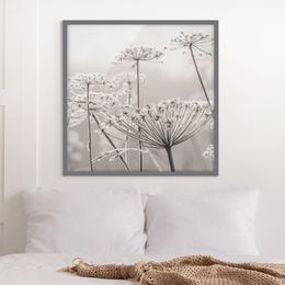 Bilderwelten Bild mit Rahmen beige Landhaus inkl. Rahmung - Doldenbl&uuml;ten im Frost - Gr&auml;ser Wohnzimmer Schlafzimmer