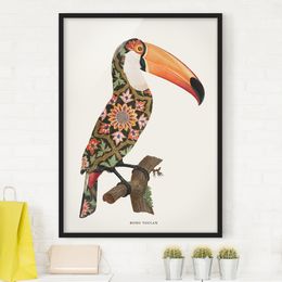 Bilderwelten Bild mit Rahmen Boho Vogel - Tukan