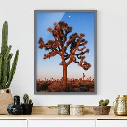 Bilderwelten Bild mit Rahmen Baum im Mondschein