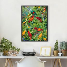 Bilderwelten Bild mit Rahmen Bunte Collage - Papageien im Dschungel