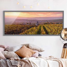 Bilderwelten Bild mit Rahmen Weinplantage bei Sonnenuntergang