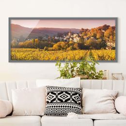 Bilderwelten Bild mit Rahmen Weinberge in Frankreich