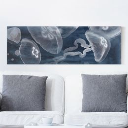 Bilderwelten Leinwandbild - Panorama Mondmedusen I