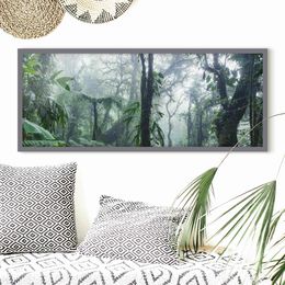 Bilderwelten Bild mit Rahmen Monteverde Nebelwald