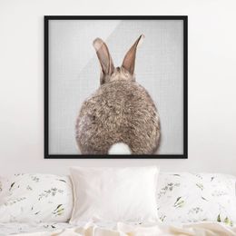 Bilderwelten Bild mit Rahmen Hase von hinten